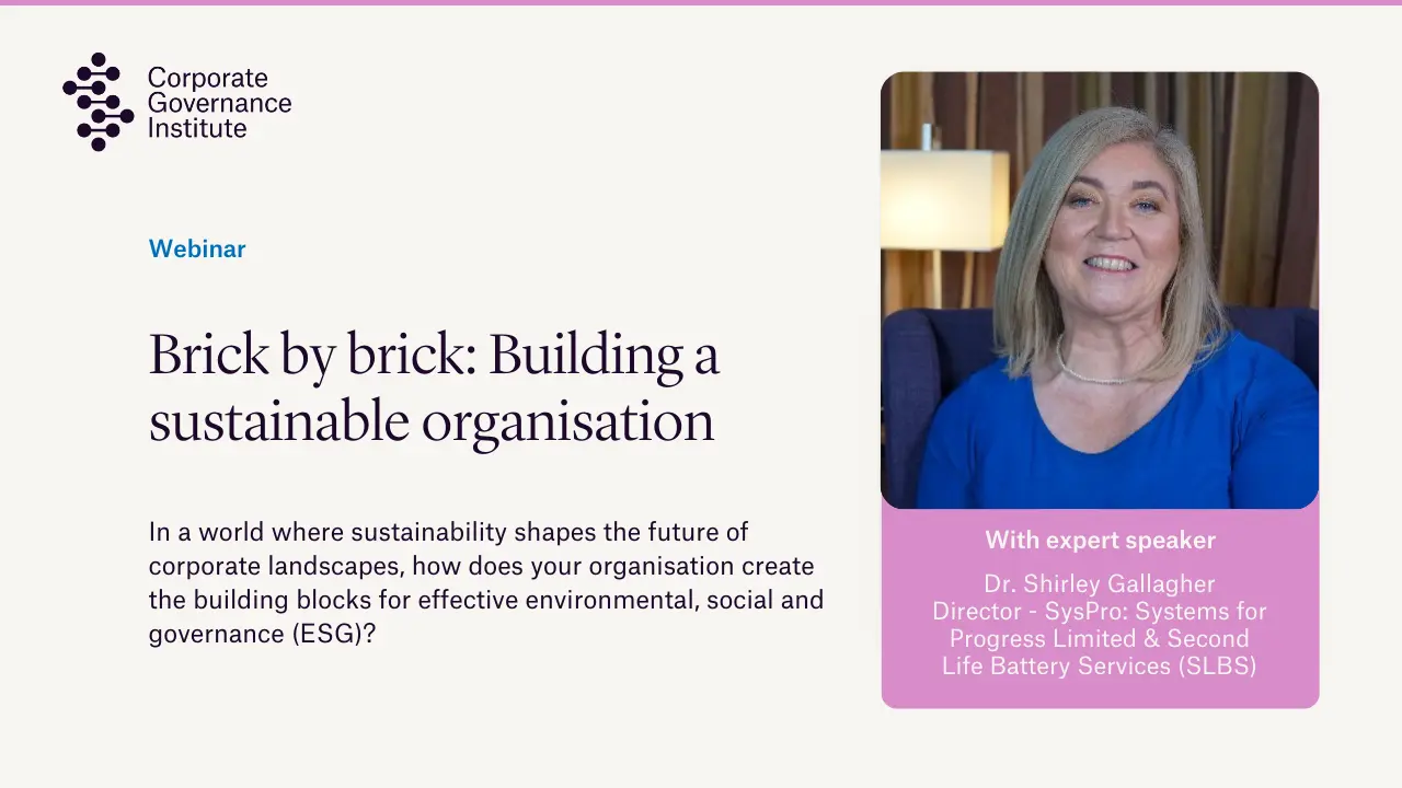 Brick by brick: Building a sustainable organisation - The Corporate ...